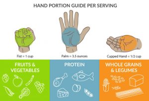 » Know your Plate — Estimating Portion Size